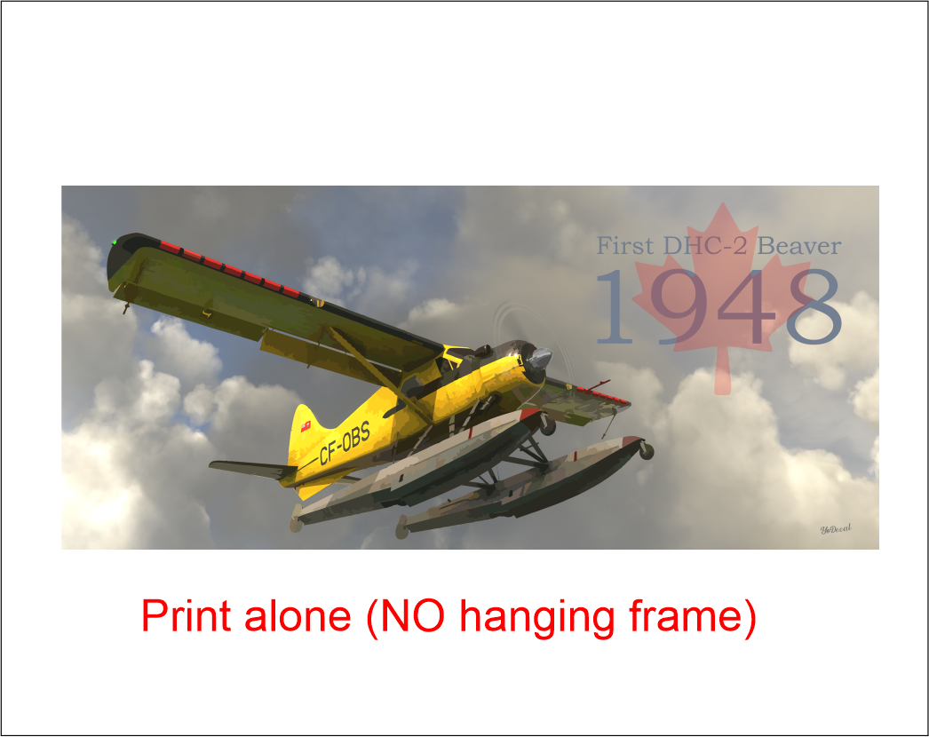 'First DHC-2 Beaver 1948 (ARTISTIC PRINT)' Premium Wall Art – YoDecal.com