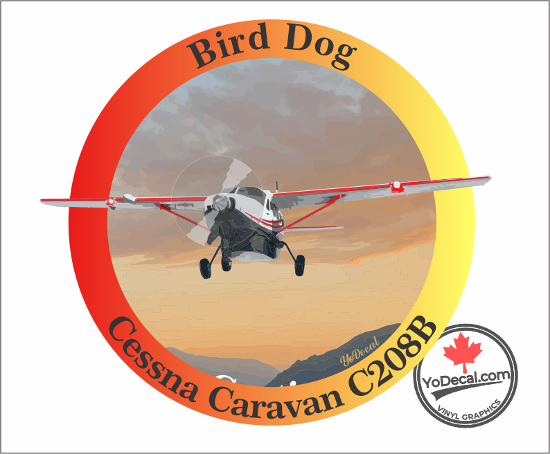 'Cessna Caravan C208B Bird Dog Full Colour' Vinyl Decal Sticker ...