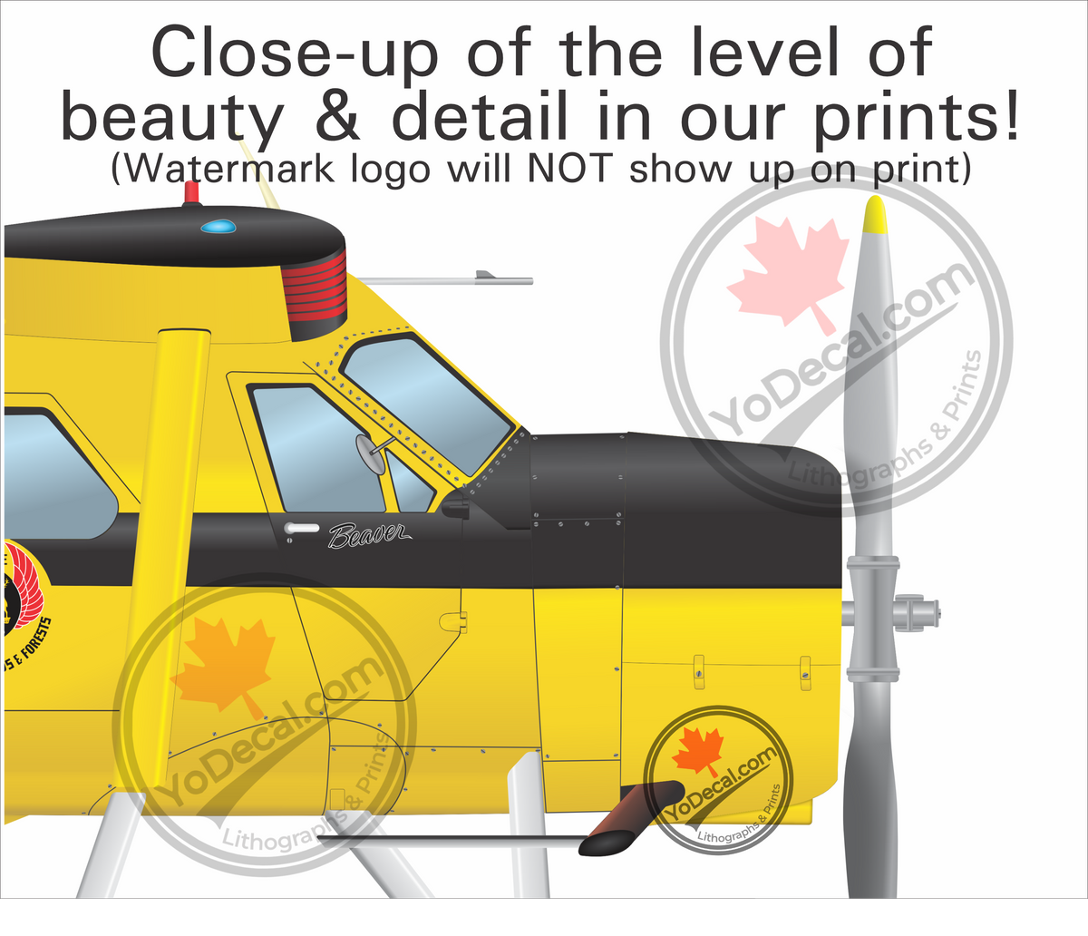 CUSTOM Aircraft Side Profile Art Print / Lithograph – YoDecal.com
