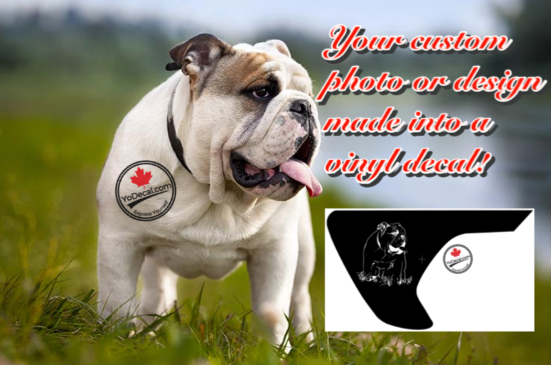 'Custom - Jeep JL Fenders (Pair)' Premium Vinyl Decal – YoDecal.com