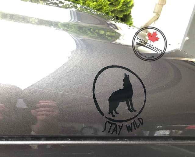 'Stay Wild' Premium Vinyl Decal – YoDecal.com